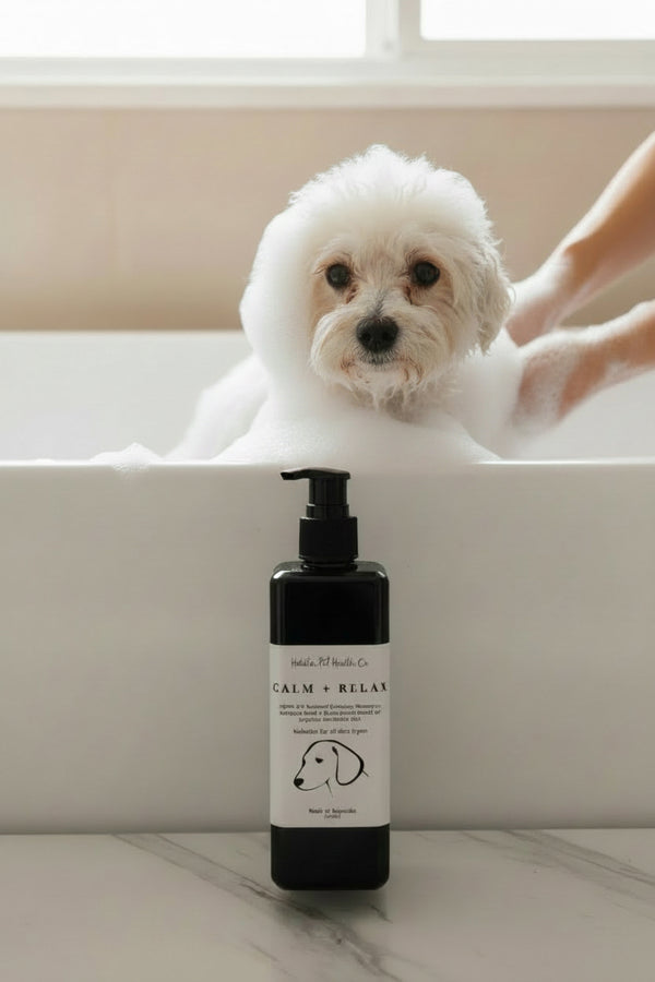 Calm + Relax Shampoo 250ml – Holistic Pet Health Australia